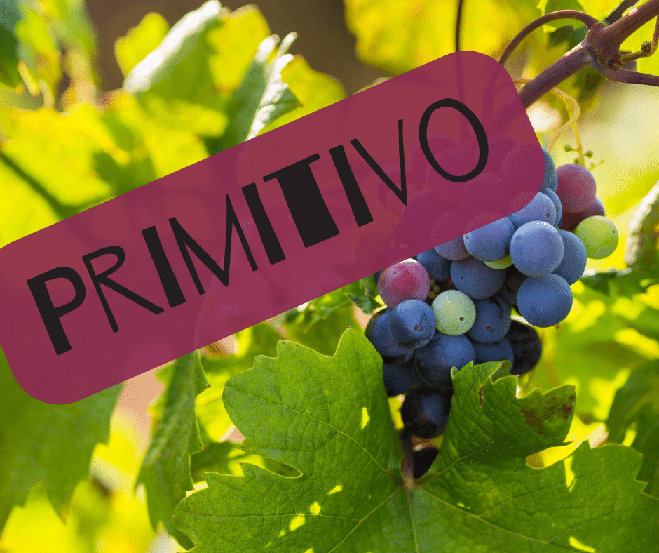 Primitivo – wyszukany prymityw